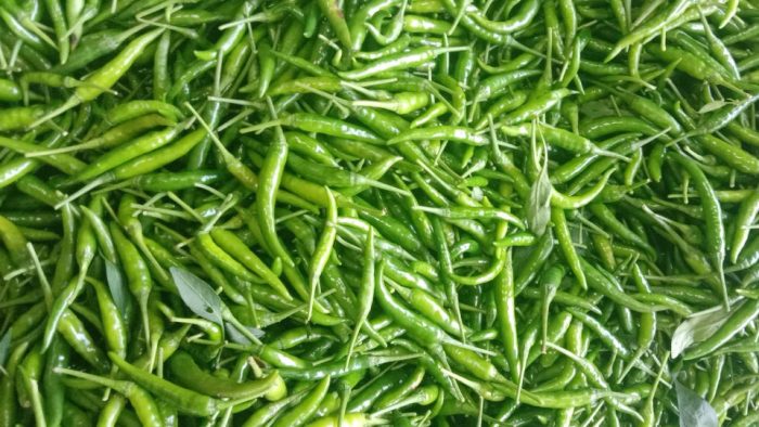 สวนพริกสด ขายพริก และส่งออกพริก | Prik Sod - The Fresh Chilli Company