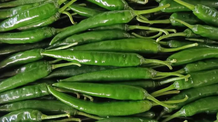 สวนพริกสด ขายพริก และส่งออกพริก | Prik Sod - The Fresh Chilli Company